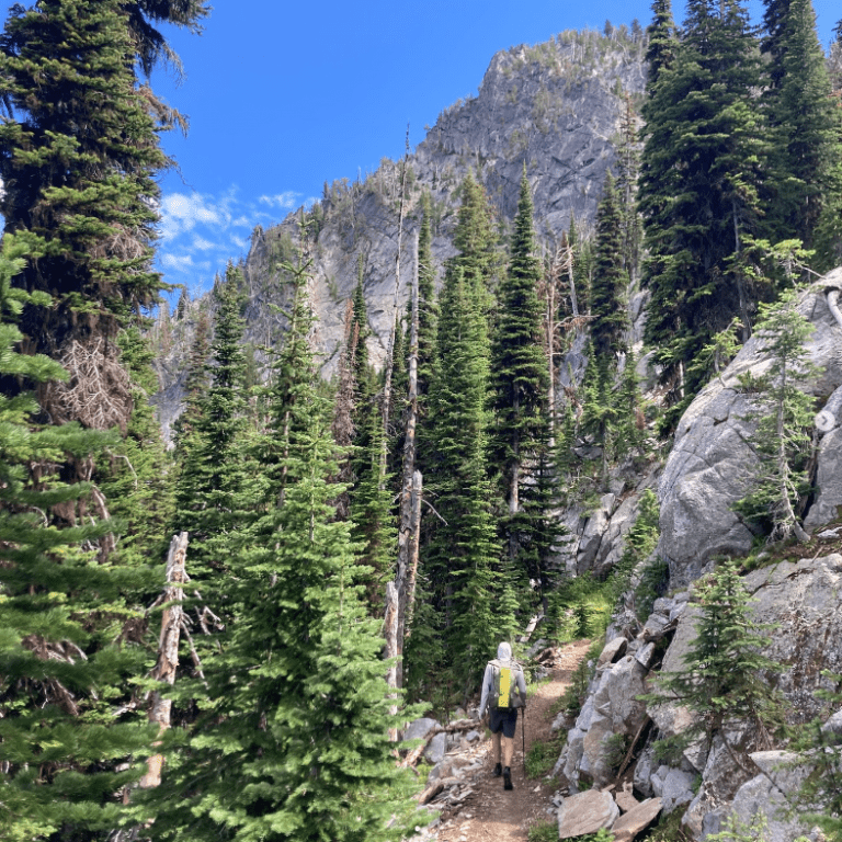 Nature's Giant: The Largest Organism in the World Lives Right Here in ...